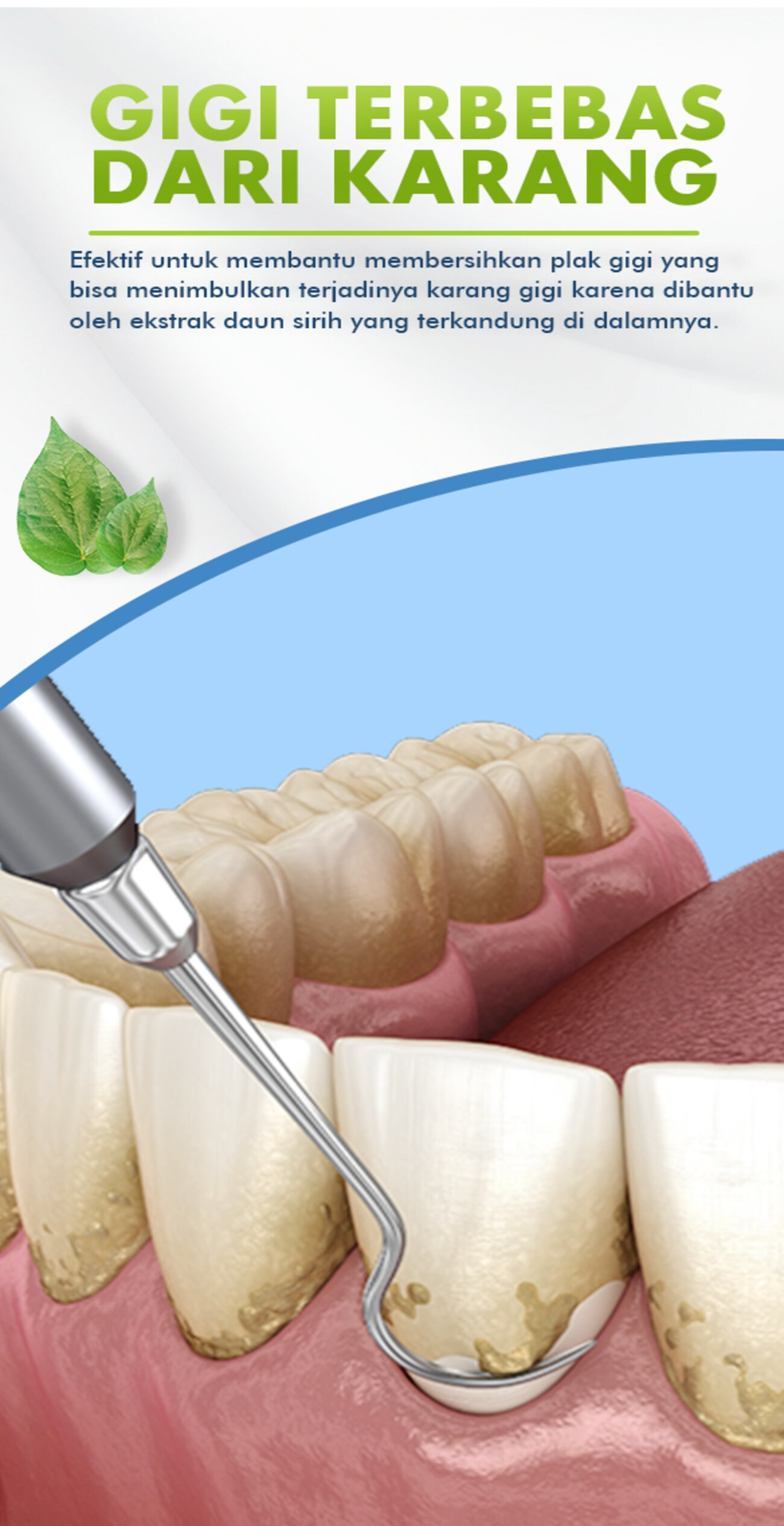 Jual [PROMO LIVE] Versident Shinning Bright Teeth Original - Pemutih ...