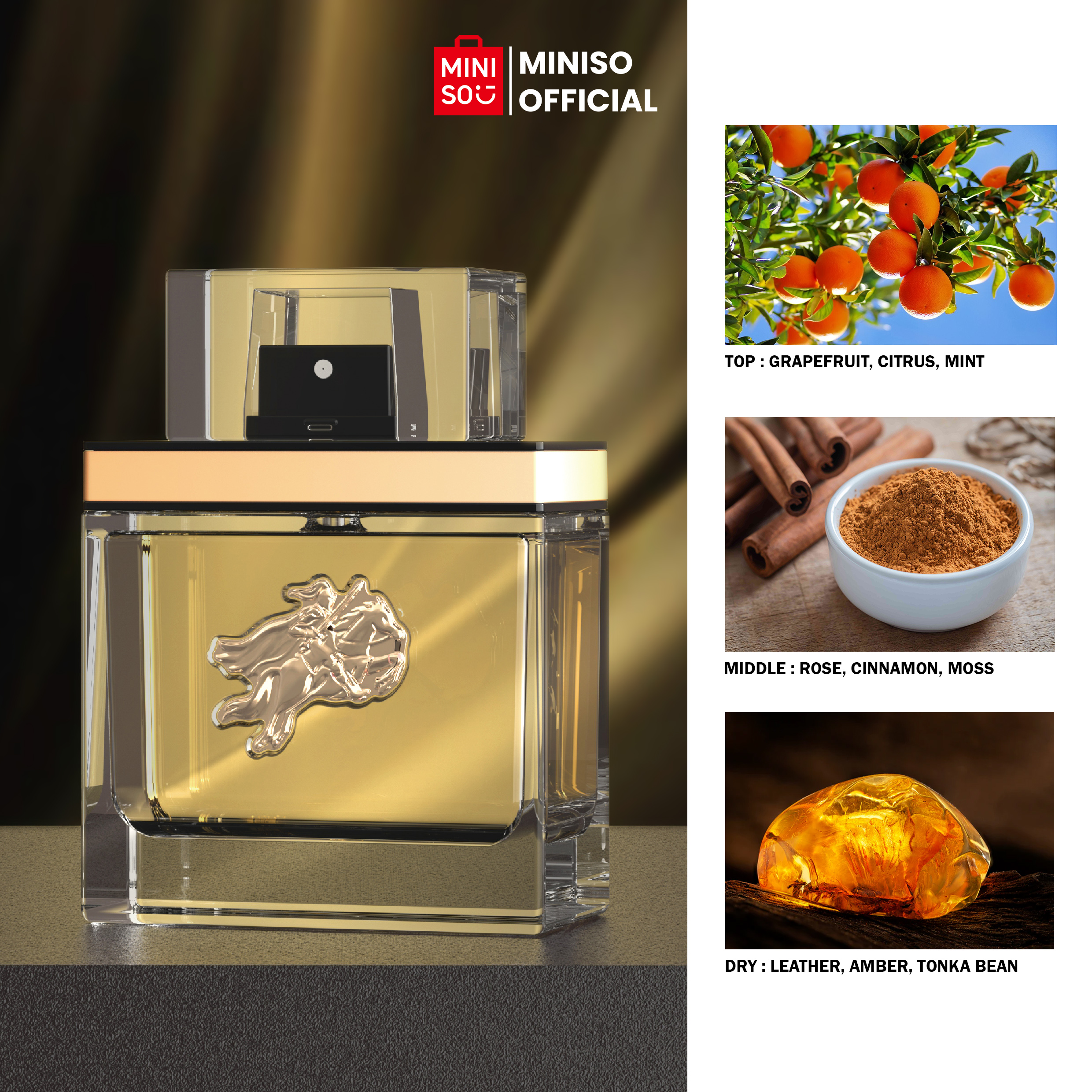 Jual Miniso Parfum Pria Dragon Knight Eau de Parfum Men's Fragrance EDP ...