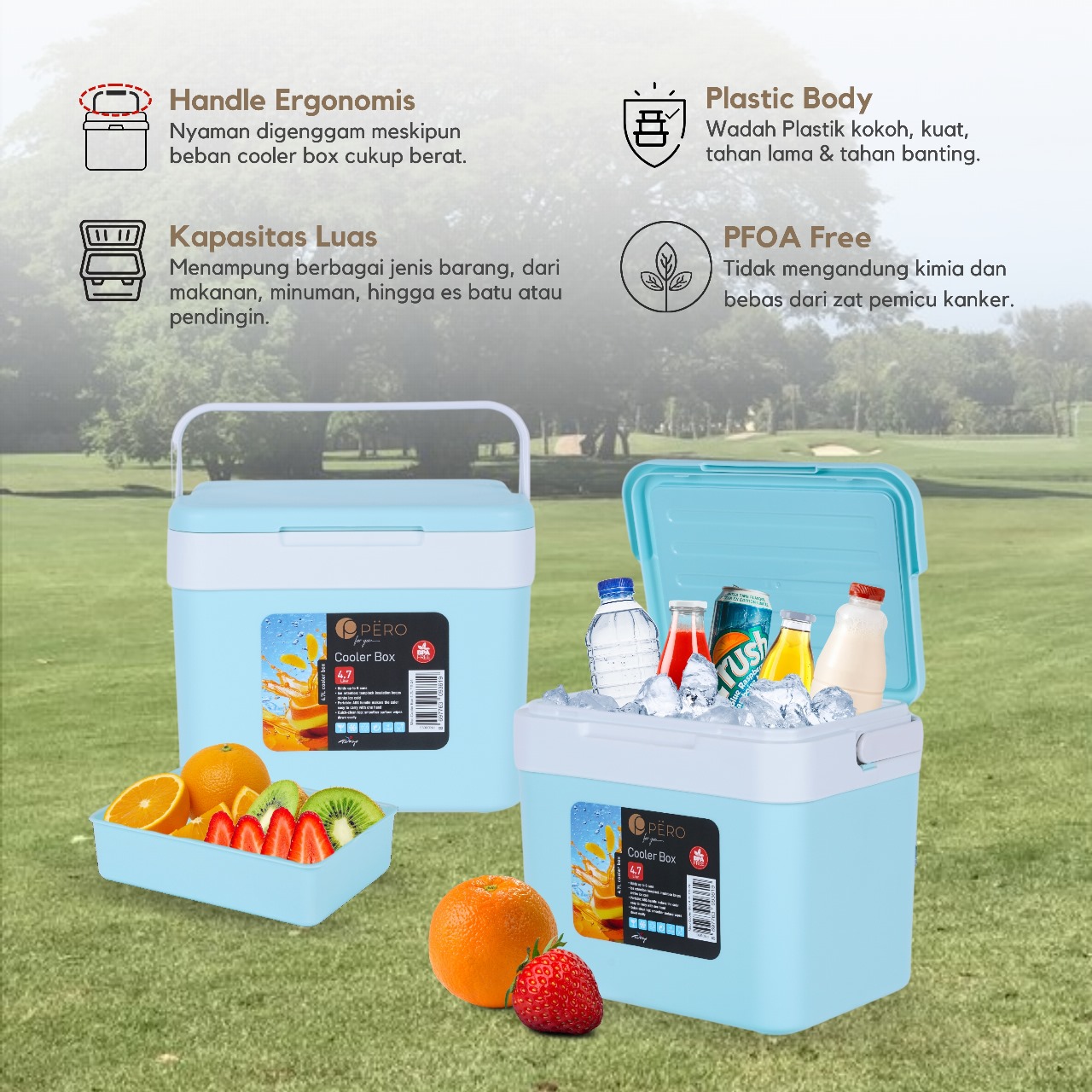 Jual [New Product] Pero Miso Cooler Box 4.7 lt / Cooler Box Outdoor ...
