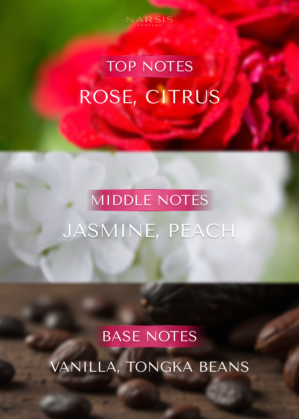 Jual Narsis Selene Eau De Parfume With Rose Citrus Jasmine Peach ...