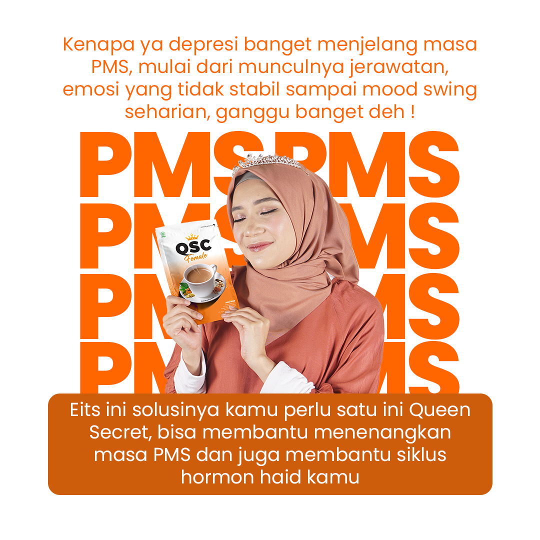 Jual PAKET HEMAT 2 POUCH (FREE SHAKER) AMIRALAB Queen Secret Coffee ...