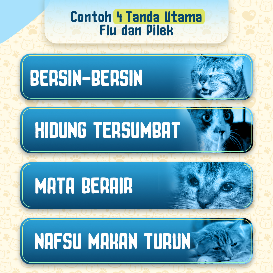 Jual Olive Care Vitamin Obat Kucing BLUE TREE Cold & Flu dengan 8 Bahan ...