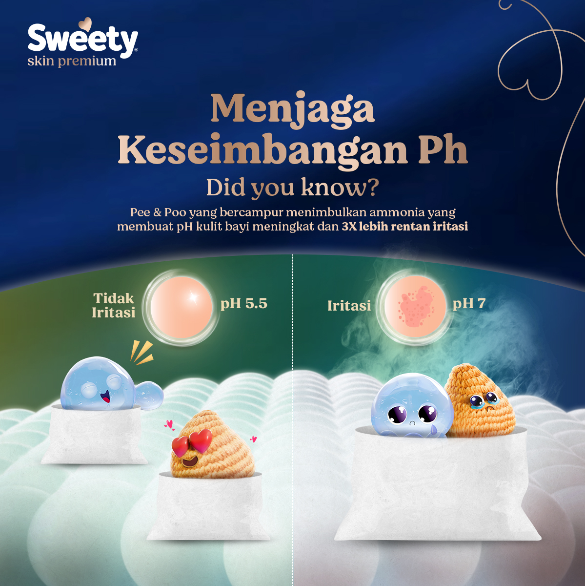 Jual Sweety Skin Premium Pants L 4x40s Karton | Shopee Indonesia