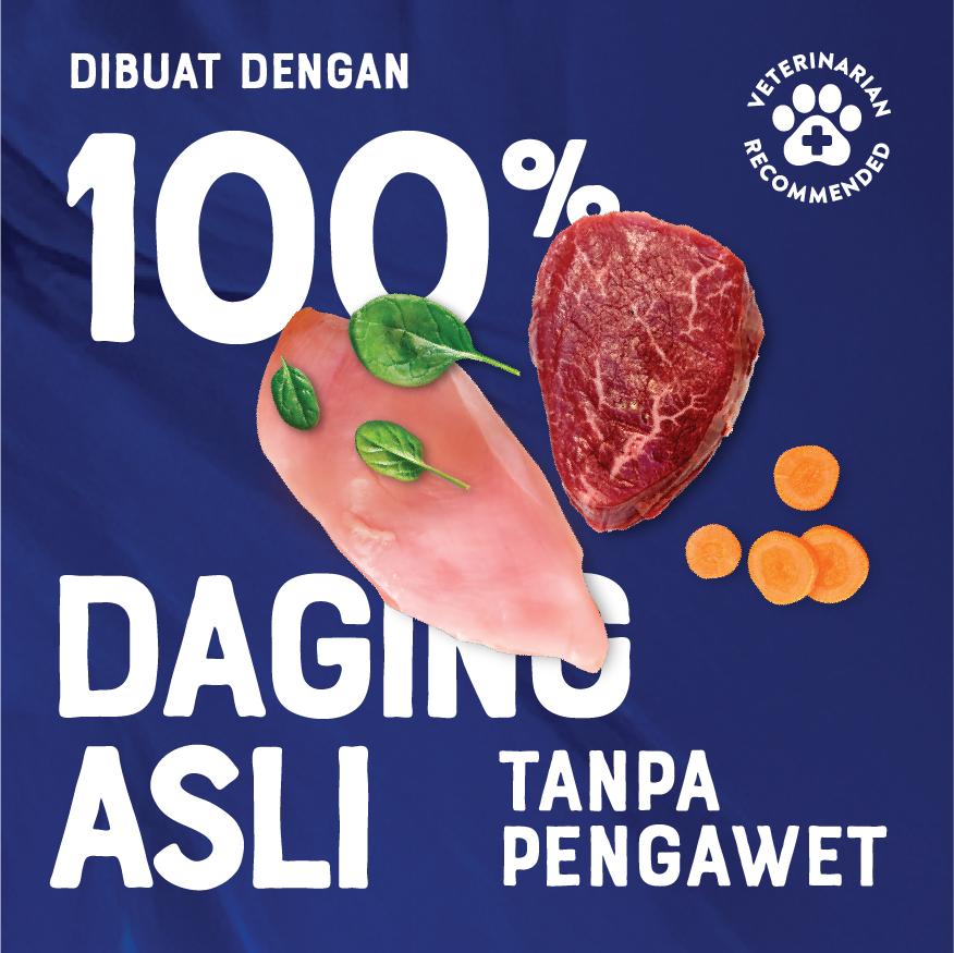 Jual Catto Cat Food - Kitten Starter Pack Bundle 50gr x 10 pcs ...