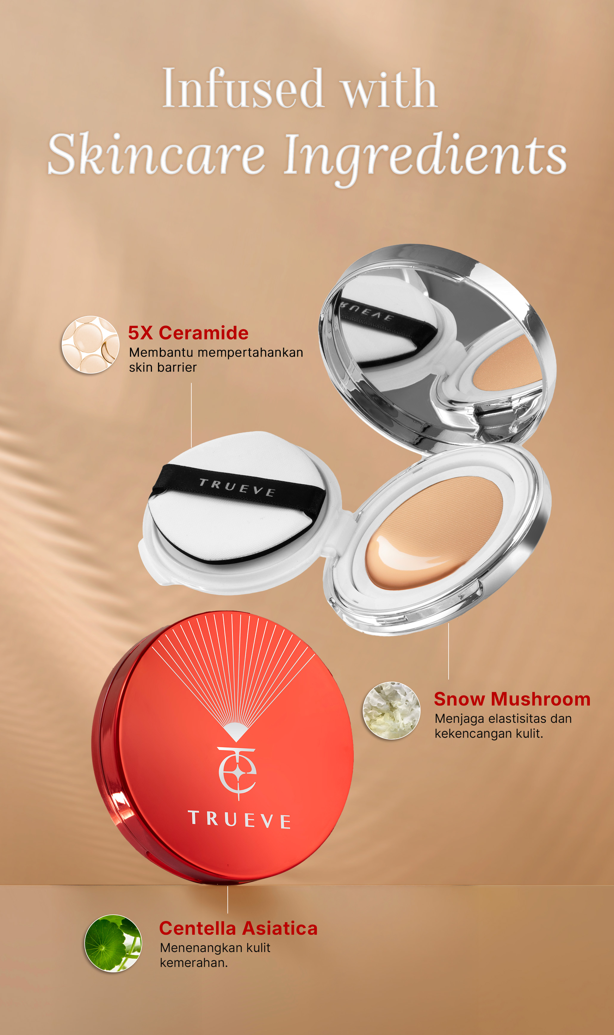 Jual TRUEVE Radiant Hi-Cover Mesh Cushion - High Coverage Tahan Lama ...