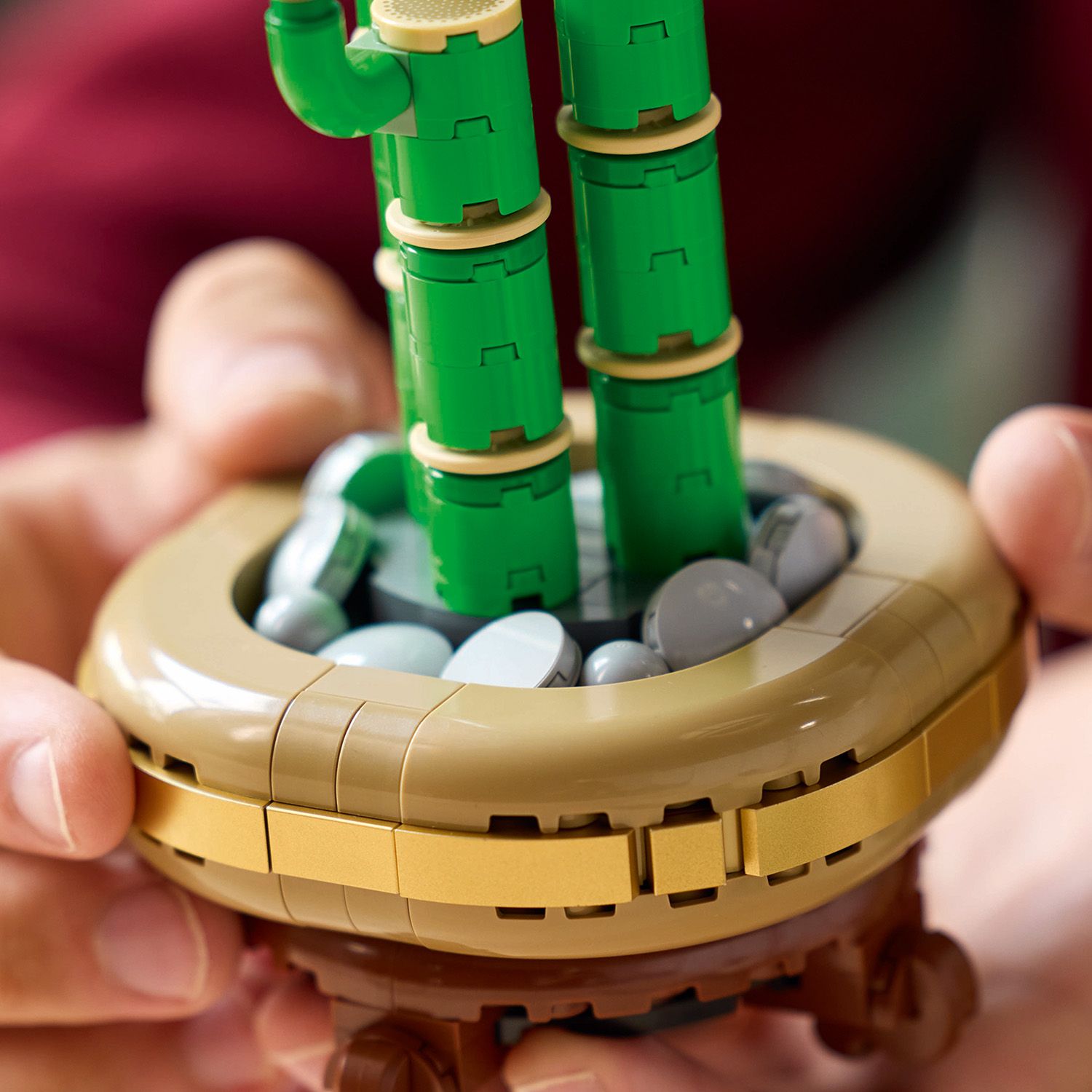 Jual LEGO Botanicals 10344 Lucky Bamboo (325 Pieces) Mainan Susunan ...