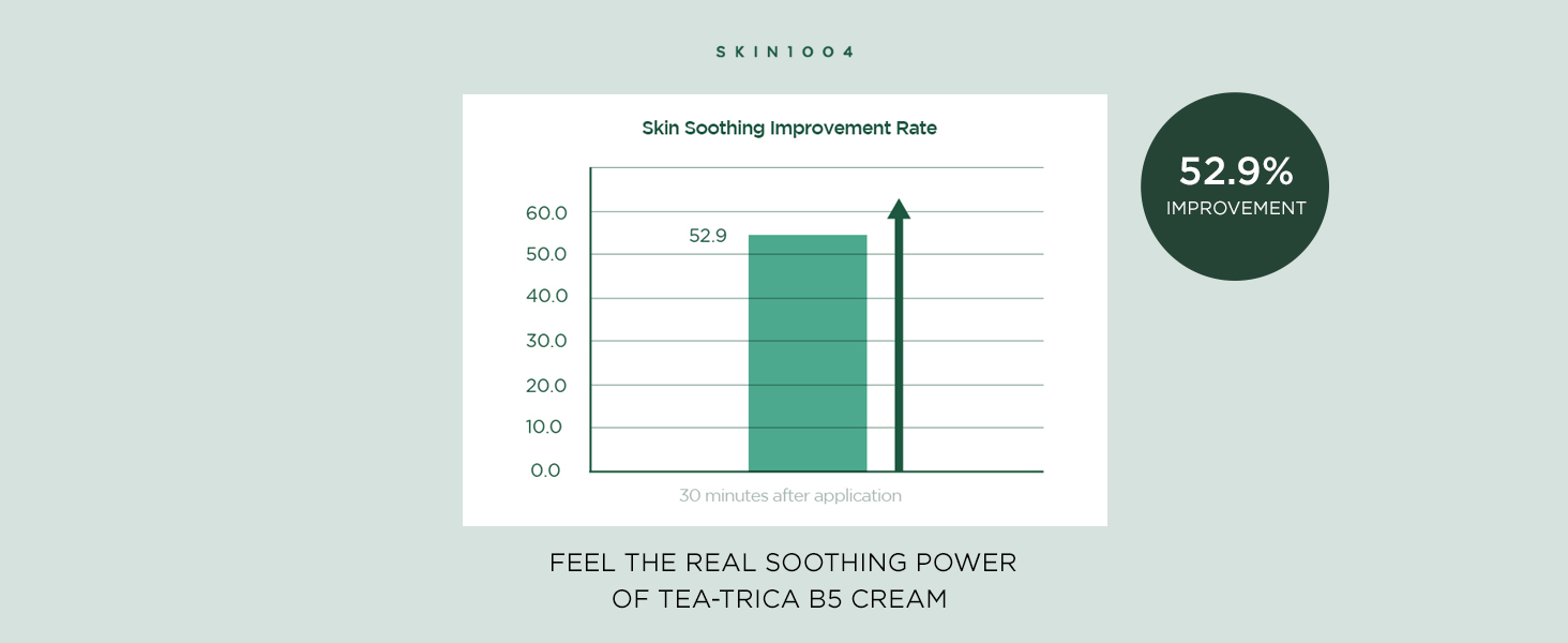 Jual SKIN1004 [Tea Trica Basic 4] Toner 210ml+ Ampoule 100ml+BHA Foam 125ml+ B5 Cream 75ml ...