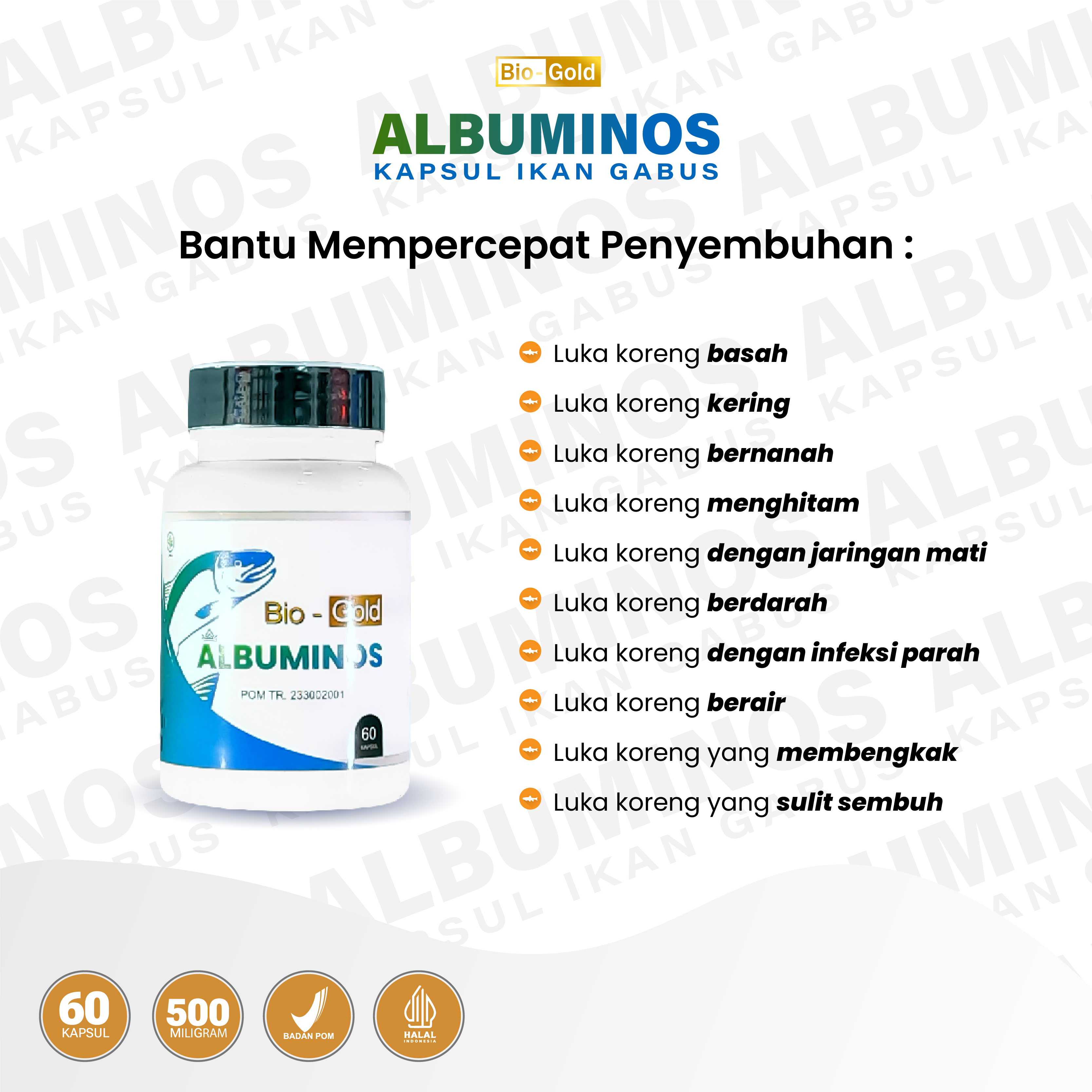 Jual Bio Gold - Albuminos Ekstrak Ikan Gabus Kapsul Kutuk Untuk Luka ...
