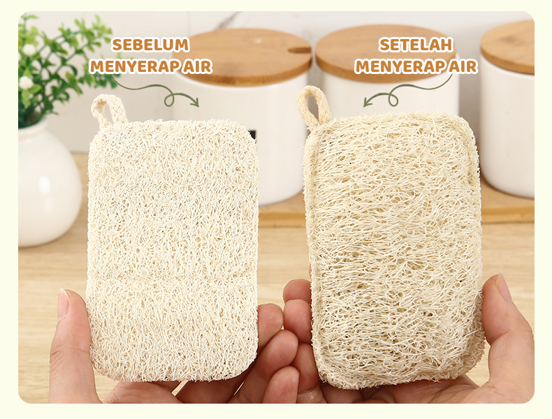 Jual ZOLELE Sabut Cuci Piring Spons Loofah Sponge Jaring Oyong Gambas ...