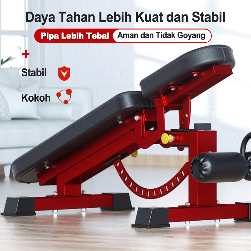 Jual EBUY bangku dumbbell multifungsi/bangku latihan sit-up/Exercise ...