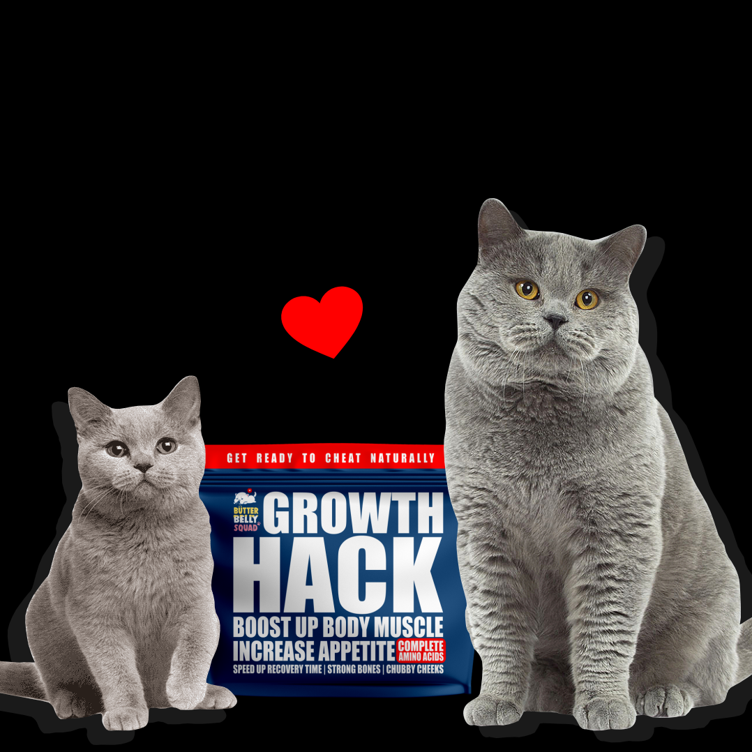 Jual VITAMIN KUCING Growth Hack by Petglow x Butter Belly Vitamin ...