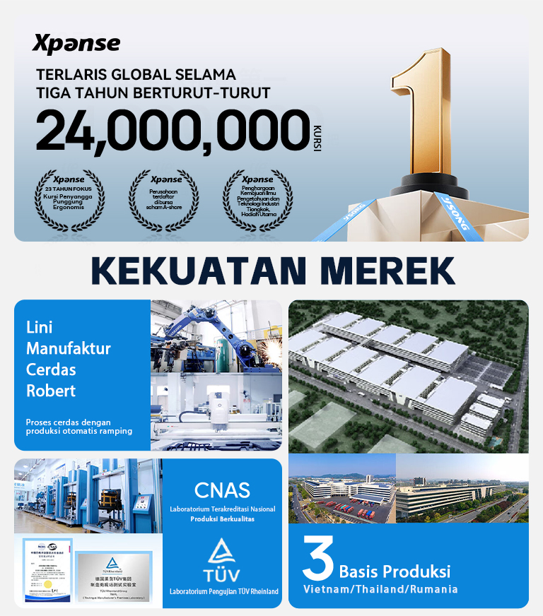 Jual 【Tahan Cakar Kucing】Xpanse Kursi Kantor Kursi Kerja Kursi Belajar ...