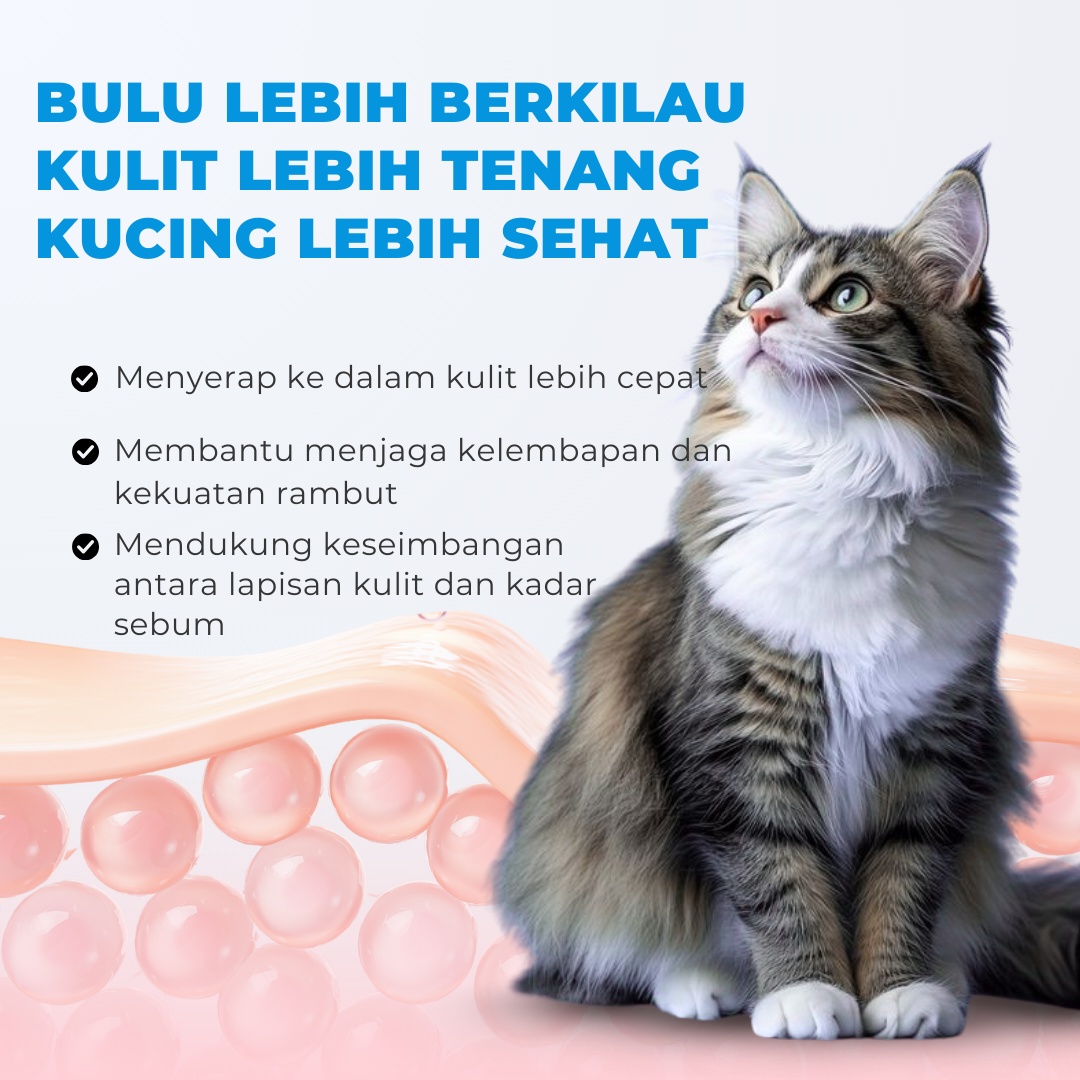 Jual [NEW] Mr. Vet - Makanan kucing kering 1kg GIFT 2pcs 50g Mr. Vet E1 ...