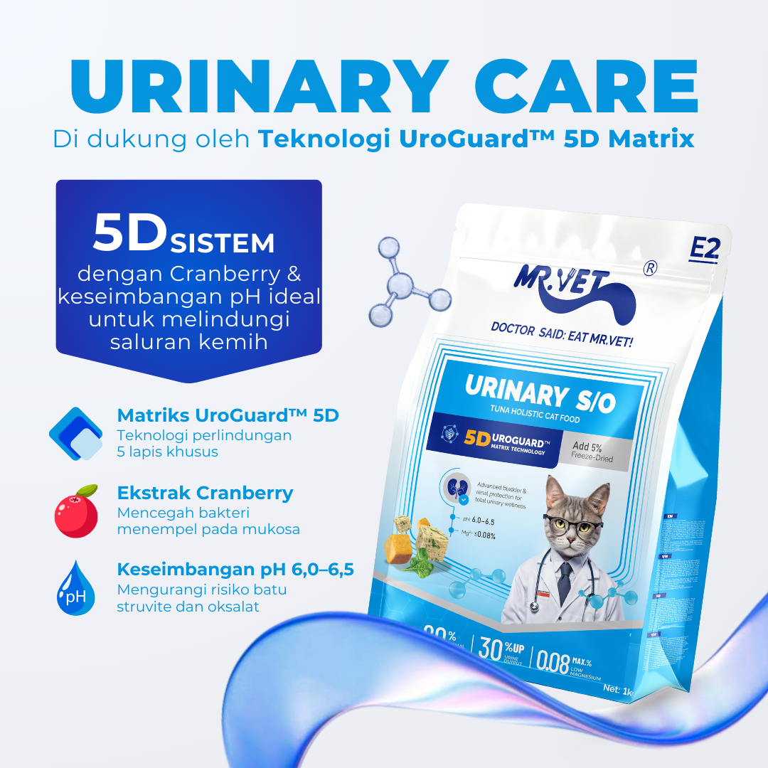 Jual [NEW] Mr. Vet - Makanan kucing kering 1kg Mr. Vet E2 untuk ...