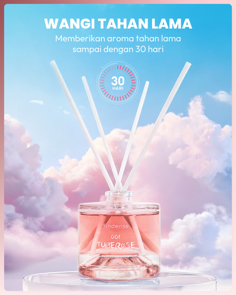 Jual OHSOME -Alba Sol/Findense Reed Diffuser Pengharum Ruangan 45ml ...