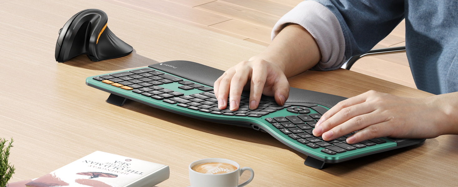 Jual ProtoArc EK01 Plus Ergonomic Keyboard Wireless 2.4G + Dual ...