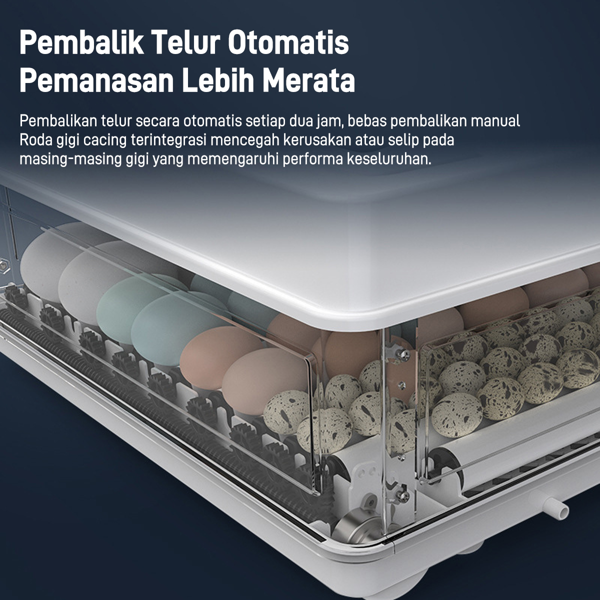 Jual Tonivaso Inkubator Telur Digital Full Otomatis | 12-130 Kapasitas ...