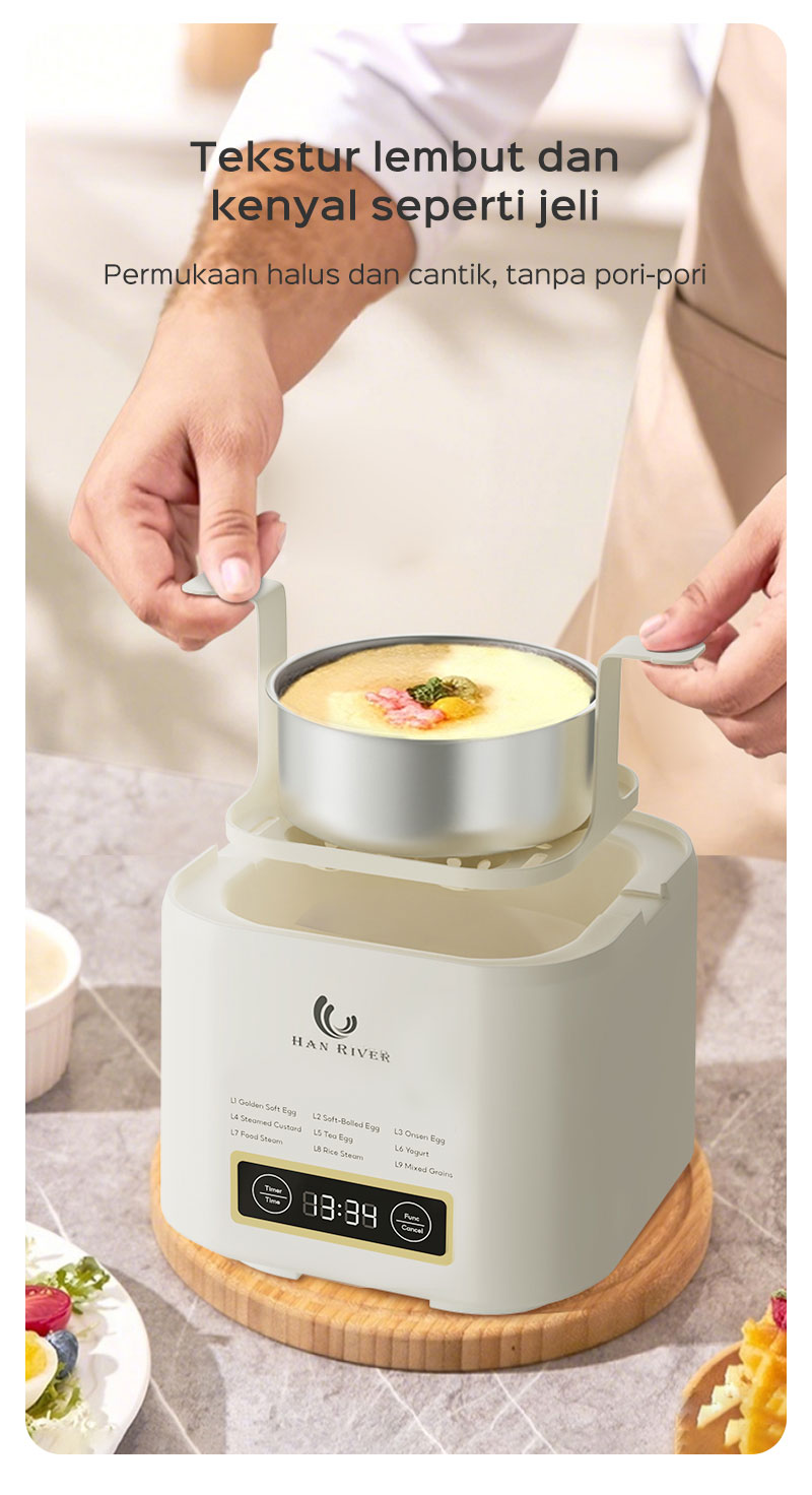Jual Han River Panci Listrik 9-in-1 Egg Cooker Double Layer 300W Low ...