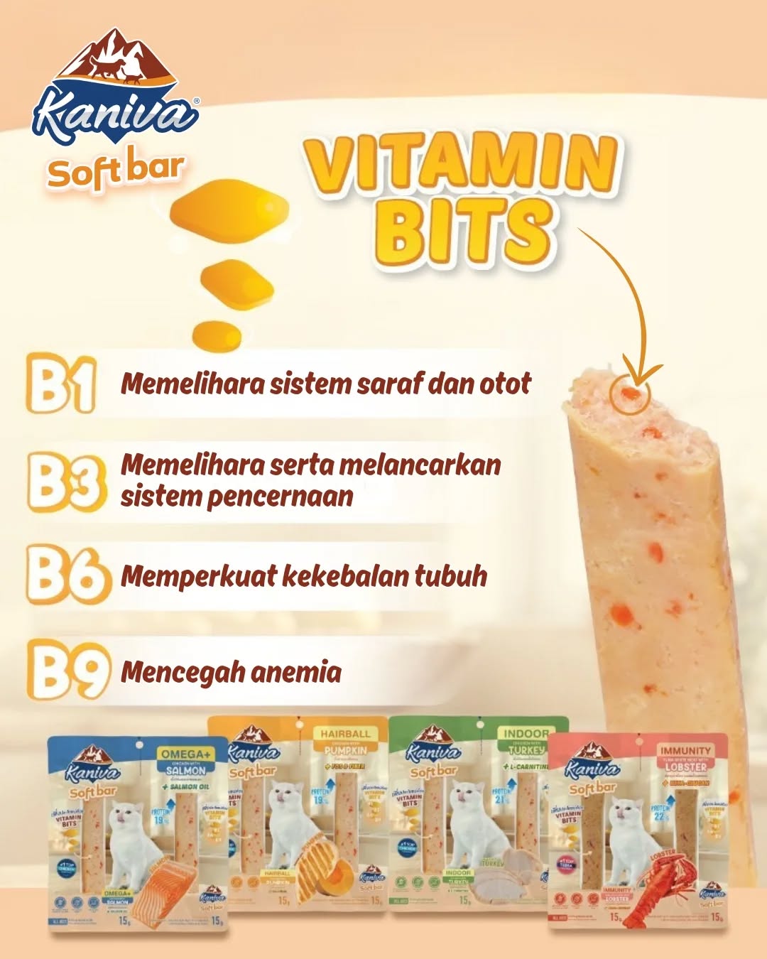 Jual [NEW] KANIVA Soft Bar | Snack Cemilan Kucing (2 x 15 gr) | Shopee ...