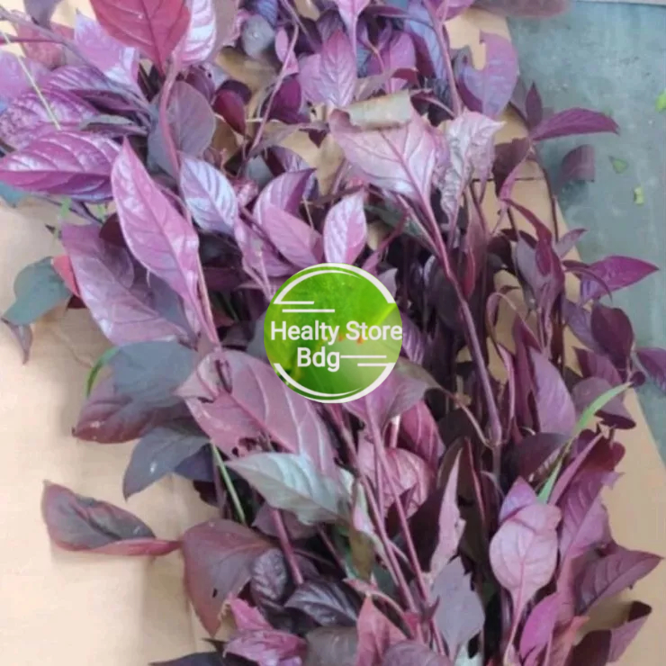 Jual Daun Handeuleum Sieum daun ungu segar 250 gram | Shopee Indonesia