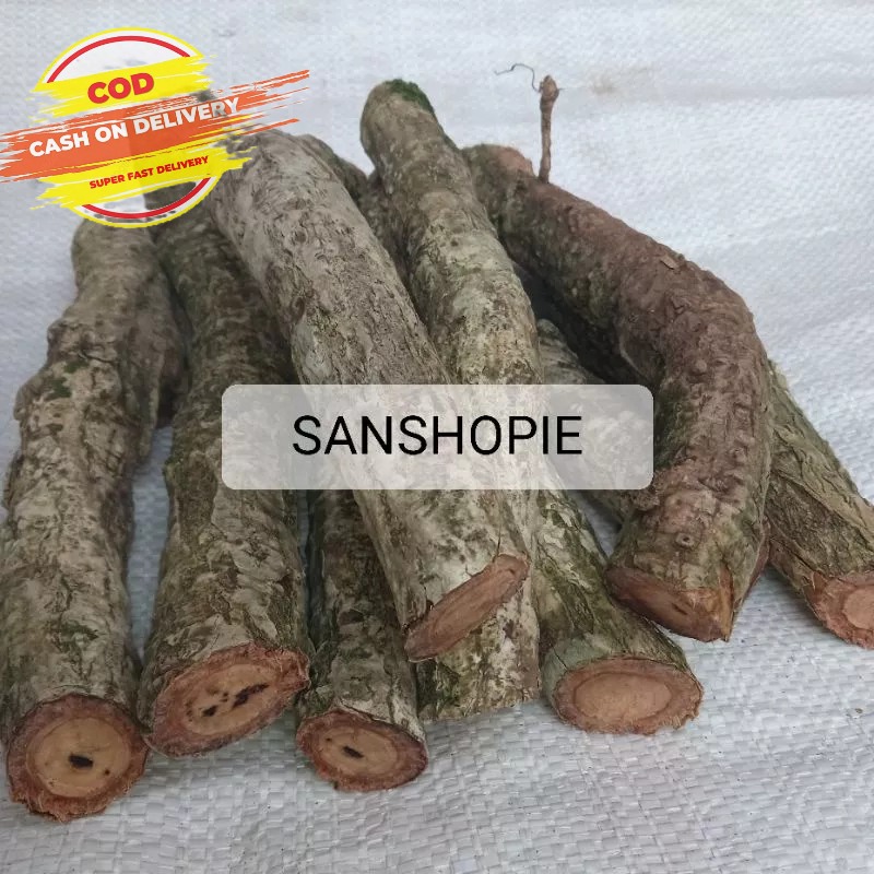 Jual Akar Pohon Kayu Waru Segar 500 gram | Shopee Indonesia