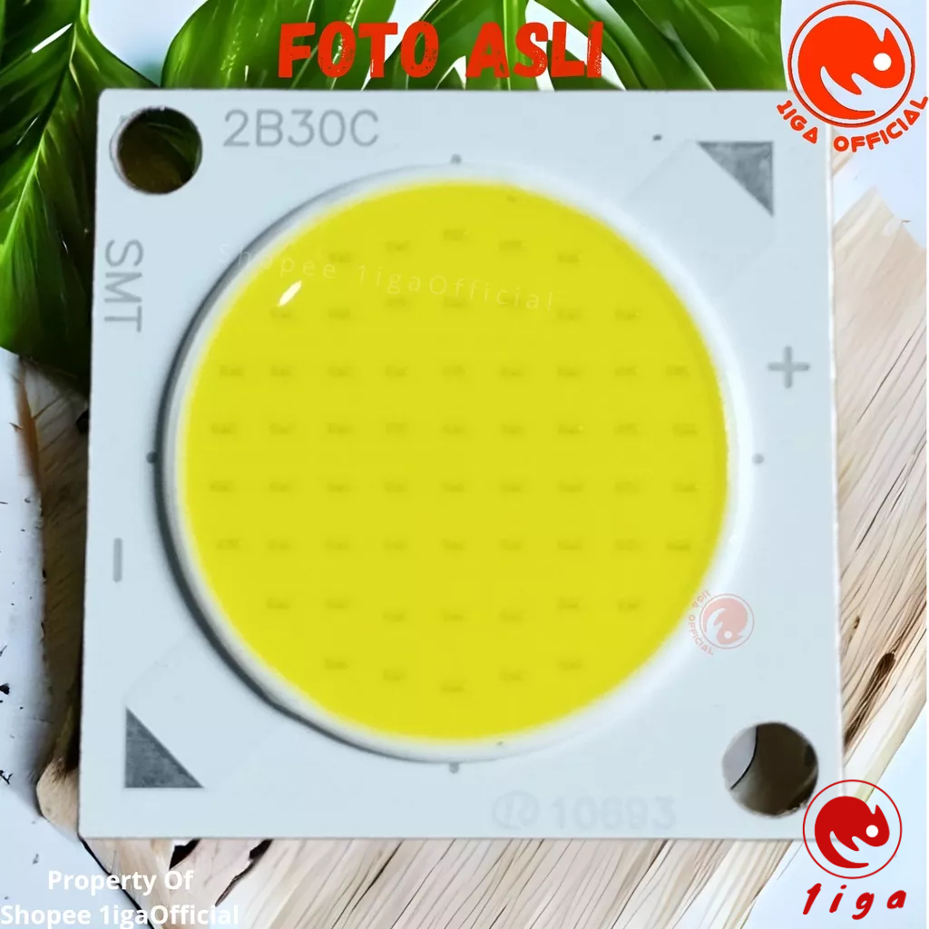 Jual Mata Lampu LED COB 30W 300mA Untuk Lampu Downlight | Shopee Indonesia