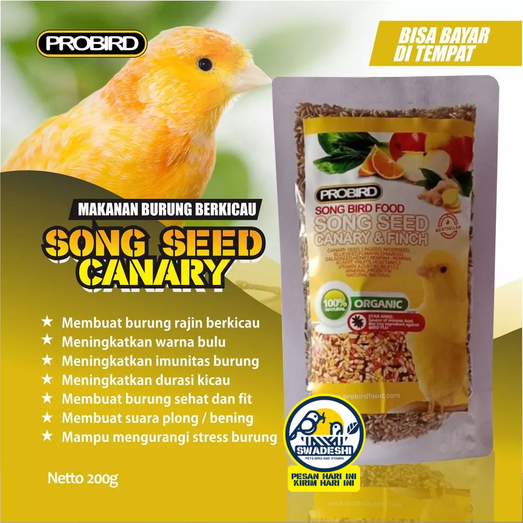 Jual PAKAN BURUNG KENARI HARIAN BREEDING DAN TERNAK SONG SEED PROBIRD ...