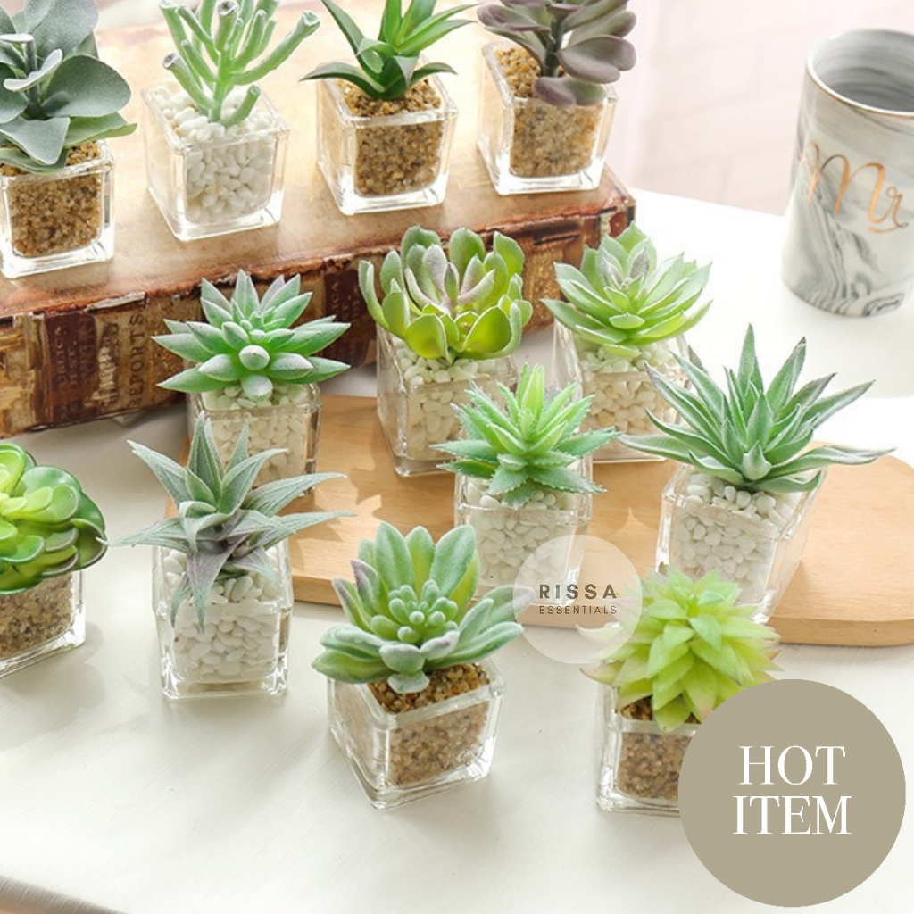 Jual [RISSA] Mini Kaktus Palsu Pot Transparan Cactus Kecil Tanaman ...