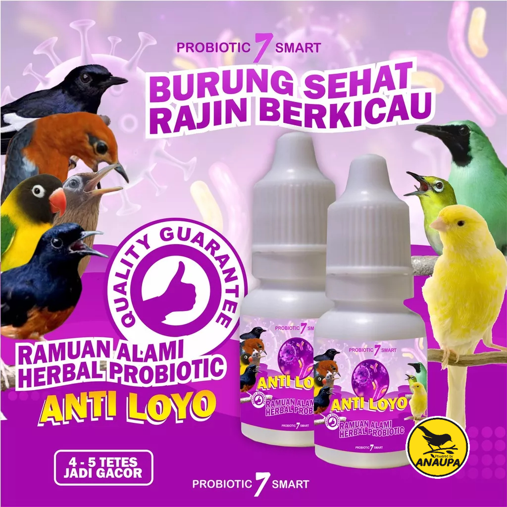 Jual VITAMIN BURUNG BERKICAU ANTI LOYO | Shopee Indonesia