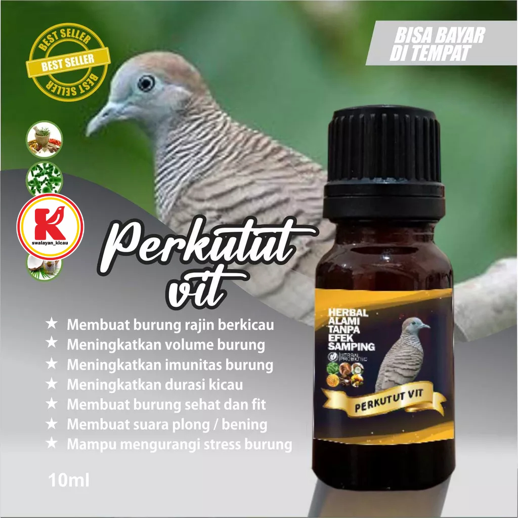 Jual VIT 10 ML BERKICAU VITAMIN HERBAL DI FORMULASIKAN KHUSUS UNTUK ...