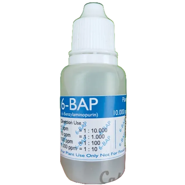 Jual Hormon 6 BAP 30 ml Penumbuh Tunas pembelahan sel - merangsang ...