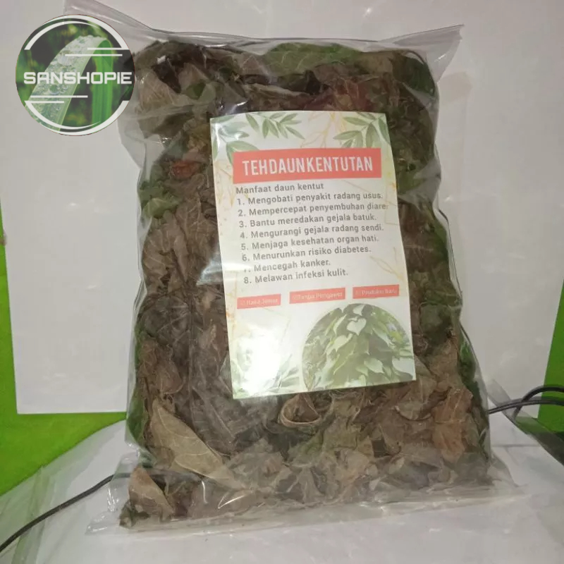 Jual Daun Kentutan Atau Simbukan Kering Kemasan 100 gram | Shopee Indonesia