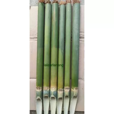 Jual Obor Bambu Tamiang #obor #bambu #tamiang #lampu #tradisional siap ...
