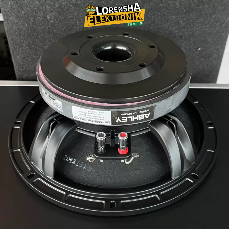 Jual Speaker Ashley LF10V300 10 Inch Original | Shopee Indonesia