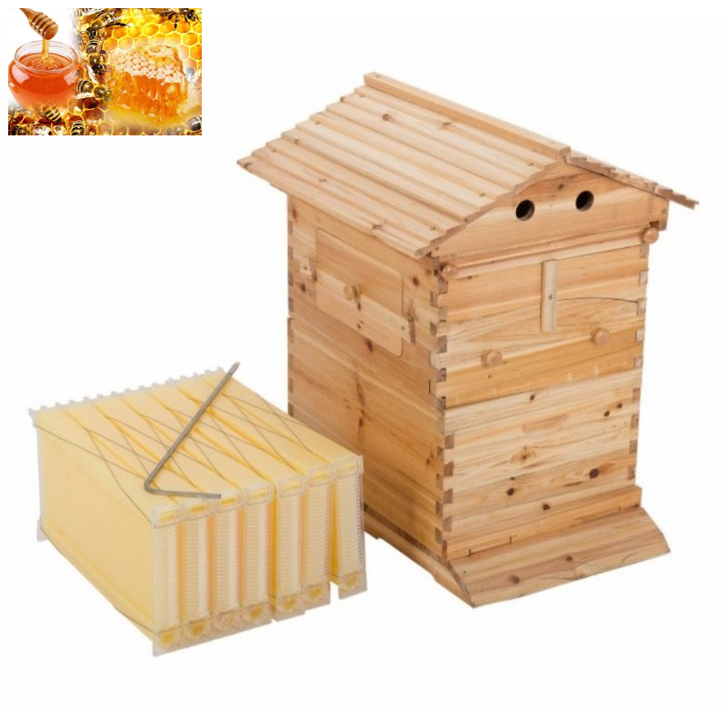 Jual Flow Bee Hive Automatic + 7 Frames Honey Combs Full Set Budidaya ...