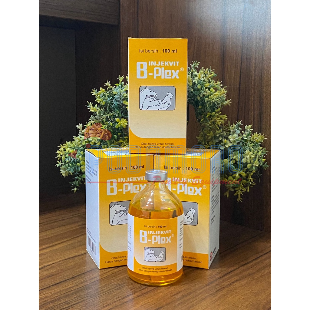 Jual INJEKSI VITAMIN B-KOMPLEKS 100 ml | Shopee Indonesia