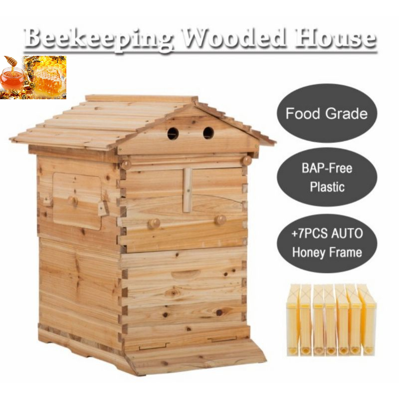 Jual Flow Bee Hive Automatic + 7 Frames Honey Combs Full Set Budidaya ...