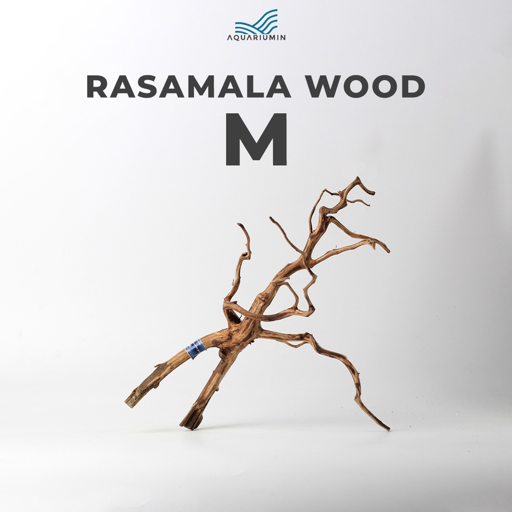Jual Akar Kayu Rasamala Size M Aquascape Aquarium | Shopee Indonesia