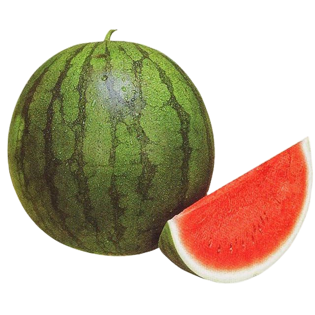 Jual Buah Semangka Merah / Buah Semangka Tanpa Biji Manis ( 1 pcs 5/6 ...