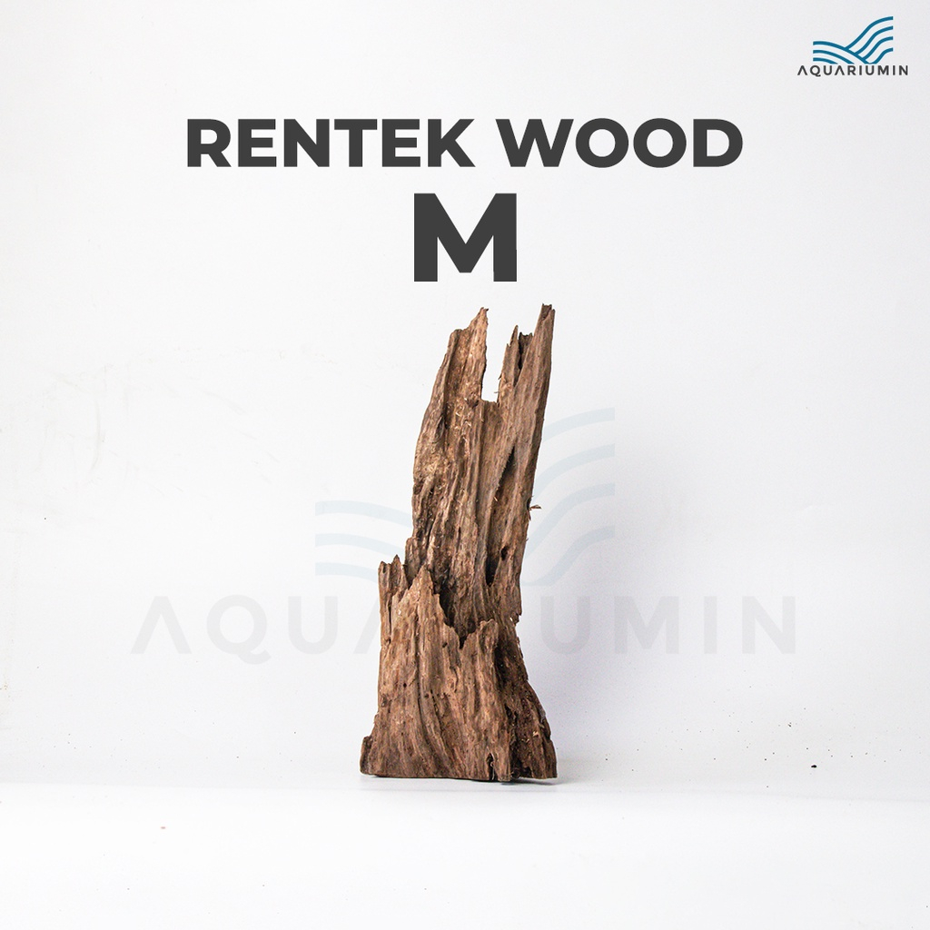Jual Kayu Rentek / Rentek Wood Size M Aquascape Aquarium | Shopee Indonesia