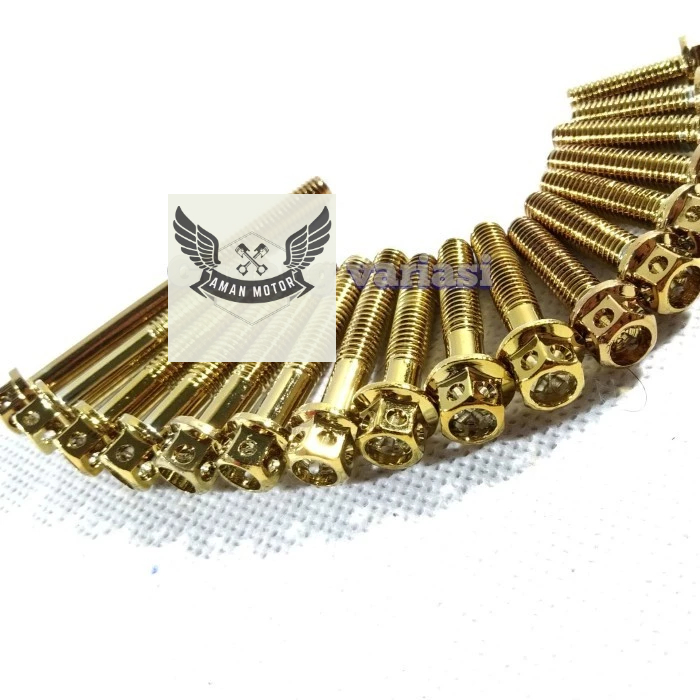 Jual Baut Probolt Bak Blok Kalter Full Set Yamaha Rx King Rxz Gold | Shopee Indonesia