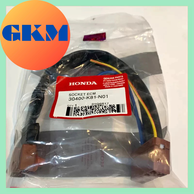Jual Soket ECU/ECM Beat FI/Esp/Street Scoopy Vario 125/150 LED PCX 150 ...