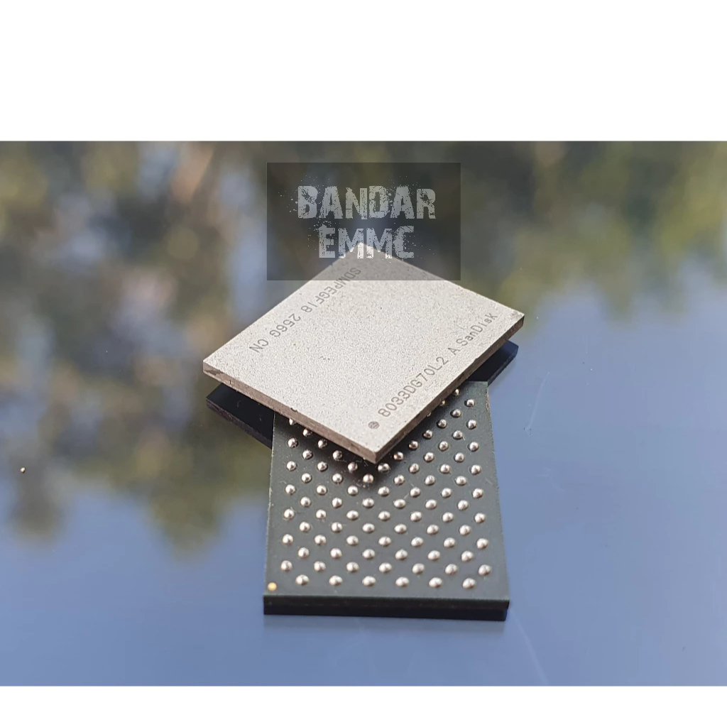 Jual ic NAND / PCIE BGA 110 KAPASITAS 256GB support ip 8 l 8 PLUSl l X l XS I XS MAX I XR I 11 I ...