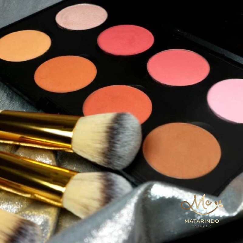 Jual LT PRO POWDER BLUSH PALLET | Shopee Indonesia