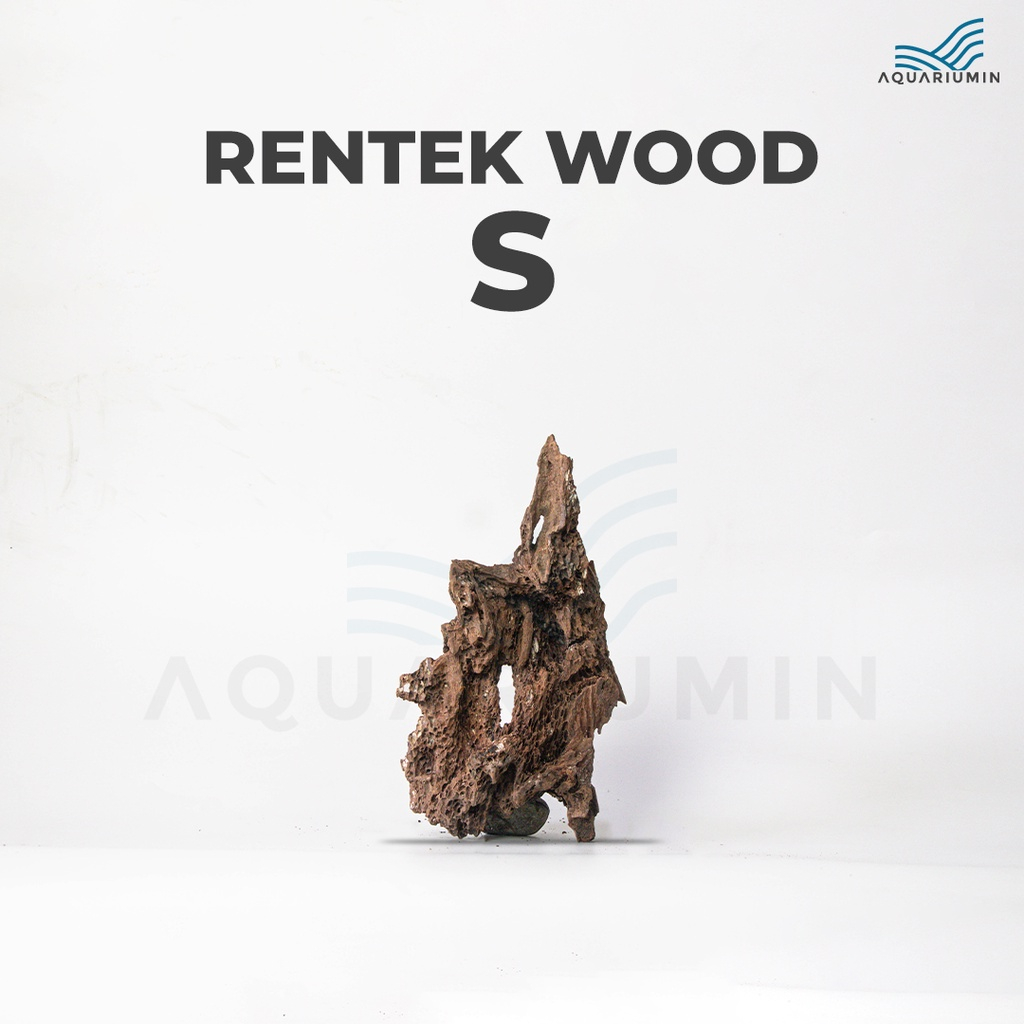 Jual Kayu Rentek / Rentek Wood Size S Aquascape Aquarium | Shopee Indonesia