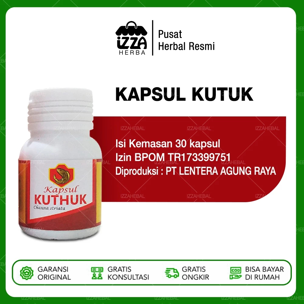 Jual Kapsul Kutuk Premium Asli 100% Original Extrak Albumin Ikan Gabus | Shopee Indonesia