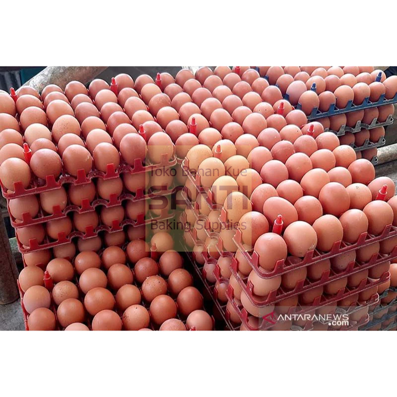 Jual Telur Ayam Negeri | 1 Papan / 30 butir (selalu baru/fresh ...