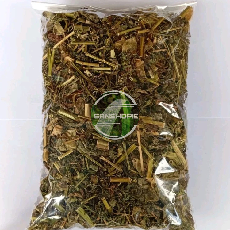 Jual Daun ciplukan cecendet kering 100 gram | Shopee Indonesia