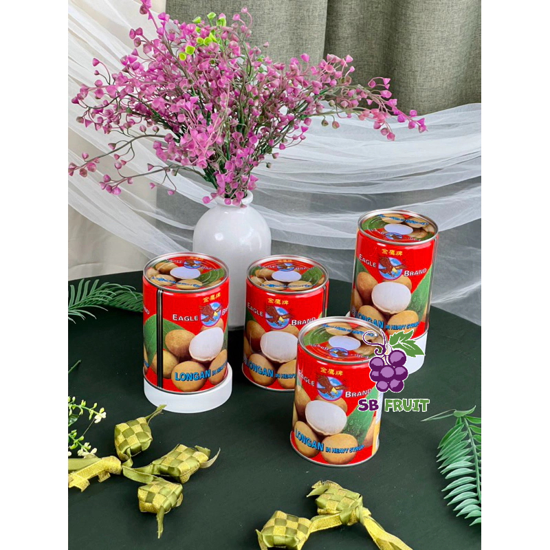 Jual Longan Kaleng Eagle Brand Merah 565g gram / buah kelengkeng dalam ...