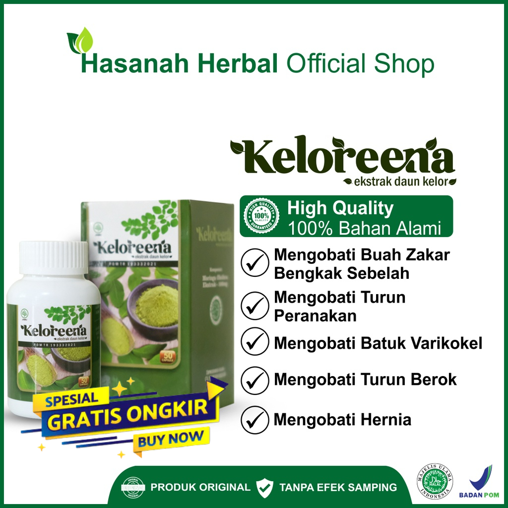 Jual Obat Hernia Turun Berok Peranakan Varikokel Hidrokel Buah Zakar ...